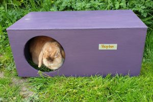 Rabbit Hideaways House Hides and Guinea Pig House Hideaways Hides House ...